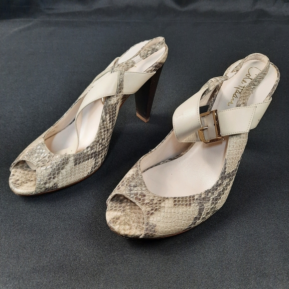 Cole Haan | Shoes | Cole Haan Snake Skin Design High Heel Shoes Size 7 ...